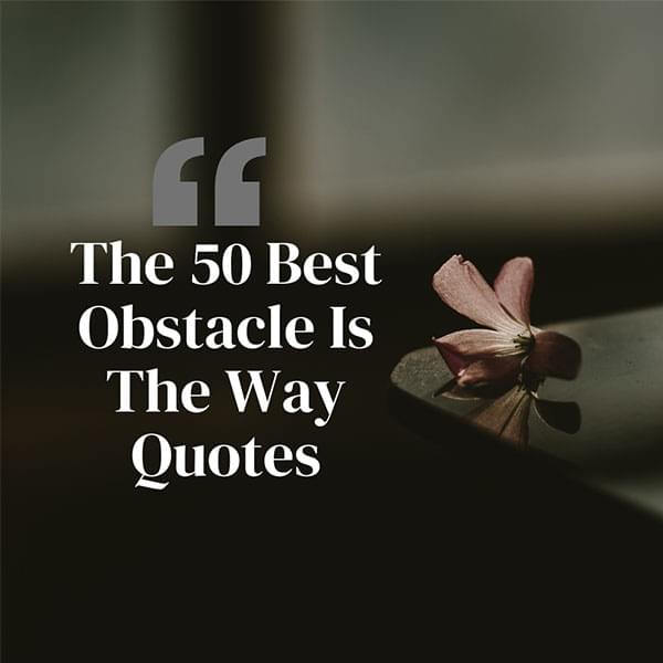 The 50 Best Obstacle Is The Way Quotes - Quote Diver