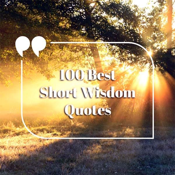 100 Best Short Wisdom Quotes for Inspiration and Growth - Quote Diver